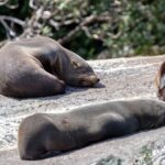 Milford Sound Extended Cruise with Southern Discoveries - Analyzing Price and Value