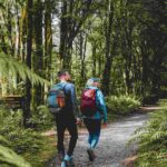 Milford Sound: Nature Cruise & Milford Track Walk - Transportation and Timing