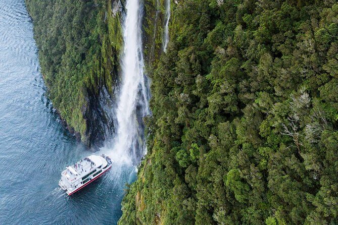 Milford Sound Premium Coach & Cruise from Queenstown with Lunch - Who Would Love This Tour?