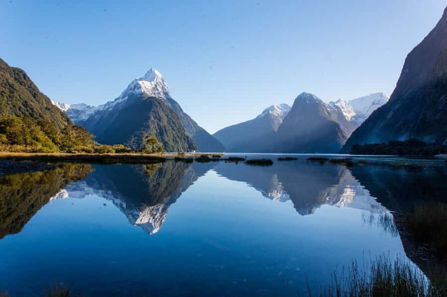 Milford Sound Scenic Helicopter Flight with Landing - Why This Tour Is Worth Considering
