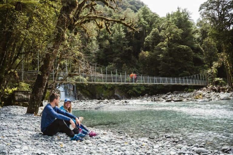 Milford Sound: Self-Guided Milford Track Day Walk - Who Should Consider This Tour?