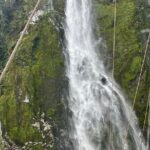 Milford Sound Small Group Day Tour From Queenstown - What You Can Expect From the Experience