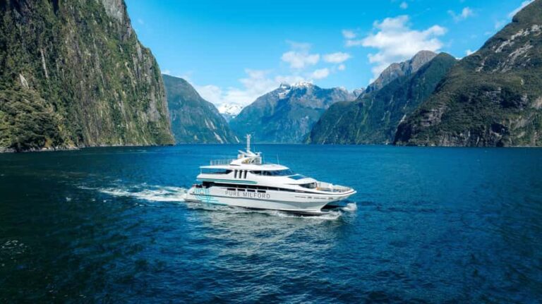 Milford Sound: Waterfalls, Wildlife, and Rainforest Cruise - The Experience: What to Expect on the Milford Sound Cruise