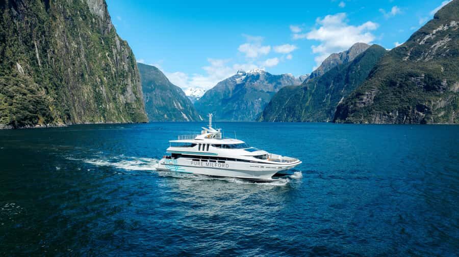 Milford Sound: Waterfalls, Wildlife, and Rainforest Cruise - The Experience: What to Expect on the Milford Sound Cruise