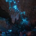 Milky Way Glowworm Cave Tour - Final Thoughts: Who Should Consider This Experience?