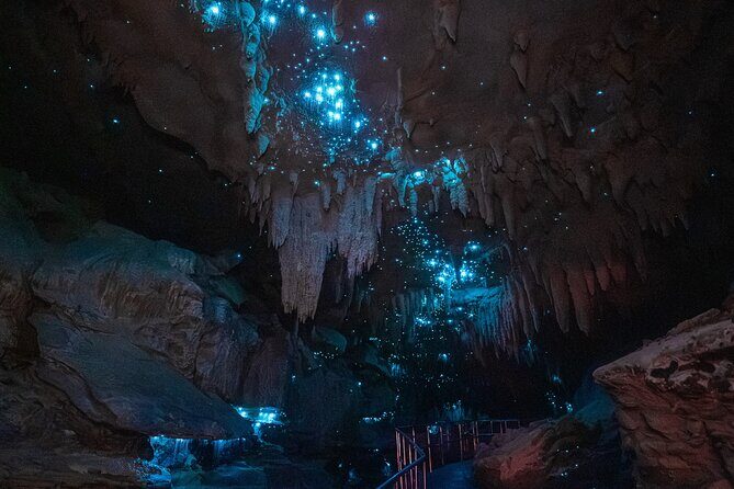 Milky Way Glowworm Cave Tour - Final Thoughts: Who Should Consider This Experience?