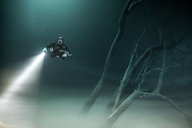 Mind Blowing Cenote Diving Experience In Playa del Carmen - Detailed Breakdown of the Itinerary