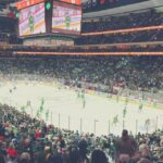Minnesota: Minnesota Wild Ice Hockey Game Ticket - Who Should Consider This Experience?