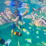 Mismaloya: Snorkeling, Cliff Jumping, and Beach Tour - The Itinerary Breakdown