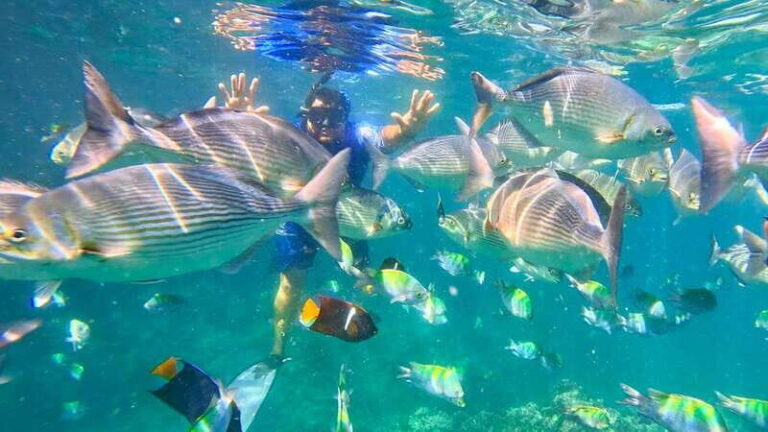 Mismaloya: Snorkeling, Cliff Jumping, and Beach Tour - The Itinerary Breakdown