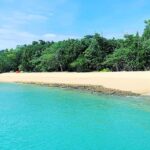 Mission Beach: Explore Dunk Island Day Tour - The Itinerary in Detail