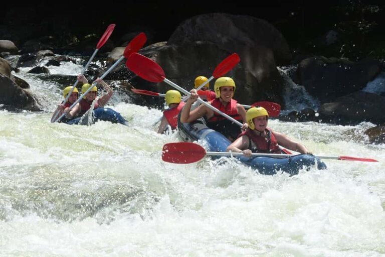 Mission Beach: Tully River Half Day White Water Rafting - Who Will Love This Tour?