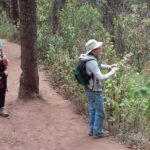 Monarch Butterfly group tour. Join me to watch #butterflies - The Sum Up