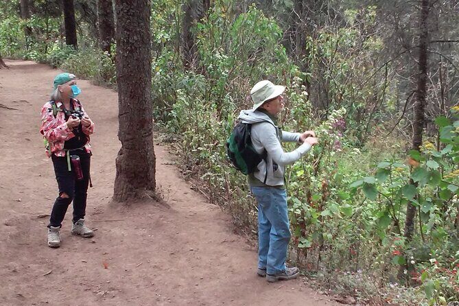 Monarch Butterfly group tour. Join me to watch #butterflies - The Sum Up