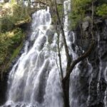 Monarch Butterfly Sanctuary Day Trip from Mexico City - What’s Included and What’s Not