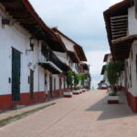 Monarch Butterfly Sanctuary Tour from Mexico City - The Full Breakdown: What You Can Expect