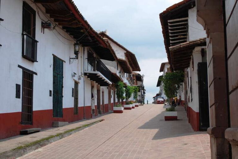 Monarch Butterfly Sanctuary Tour from Mexico City - The Full Breakdown: What You Can Expect