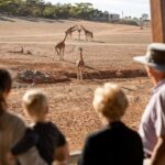 Monarto Safari Park: General Admission Tickets - Who Will Love This Experience?