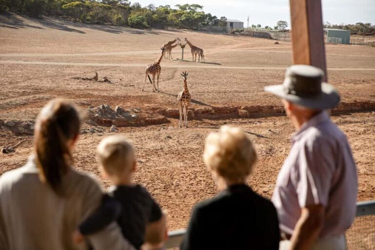 Monarto Safari Park: General Admission Tickets - Who Will Love This Experience?