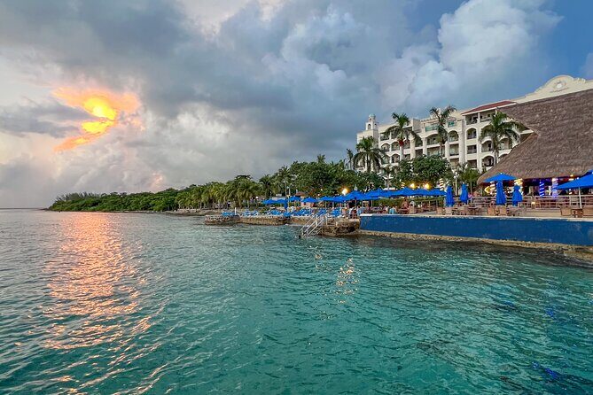 Money Bar All Inclusive Experience with Transportation - The Snorkeling and Marine Life
