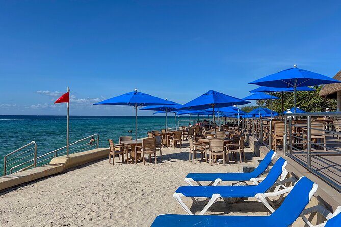 Money Bar Day Pass with Snorkel & Mexican Lunch - What Travelers Love