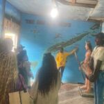 Monkeys and sloths, private tour , and beach - What Travelers Say About This Tour