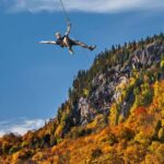 Mont-Catherine: Ziplines & Hike - The Practicalities: What’s Included and What to Know