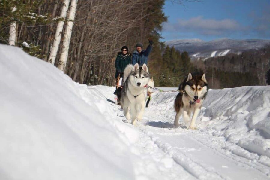 Mont-Tremblant: Dogsledding Nordic Adventure - Practical Details