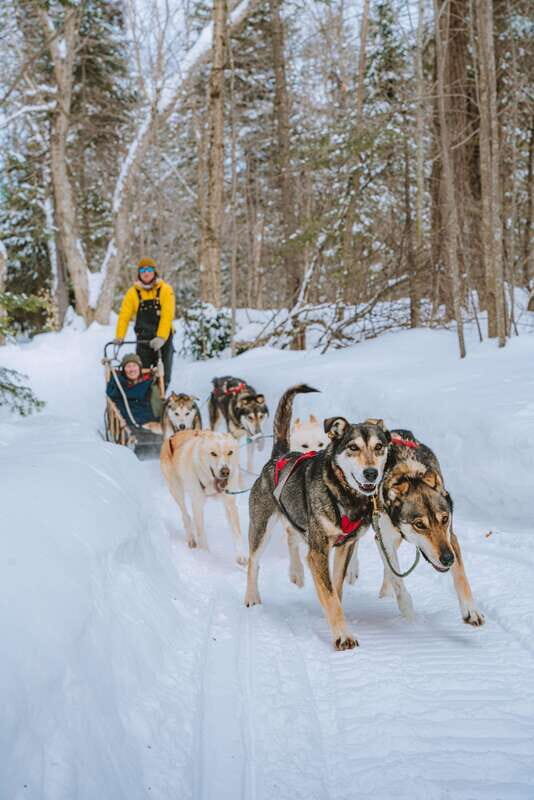 Mont-Tremblant: Dogsledding Upper Laurentians - The Experience in Detail