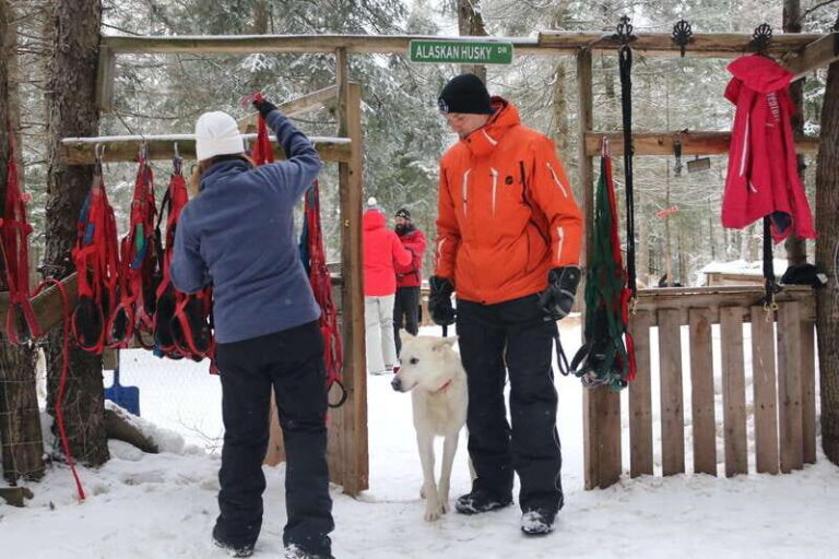 Mont-Tremblant: Dogsledding Valley Adventure - What Makes This Dogsledding Tour a Great Choice?
