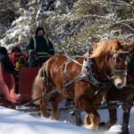 Mont-Tremblant: Sleigh Ride w/ Storytelling & Hot Chocolate - Whats Included and What to Keep in Mind