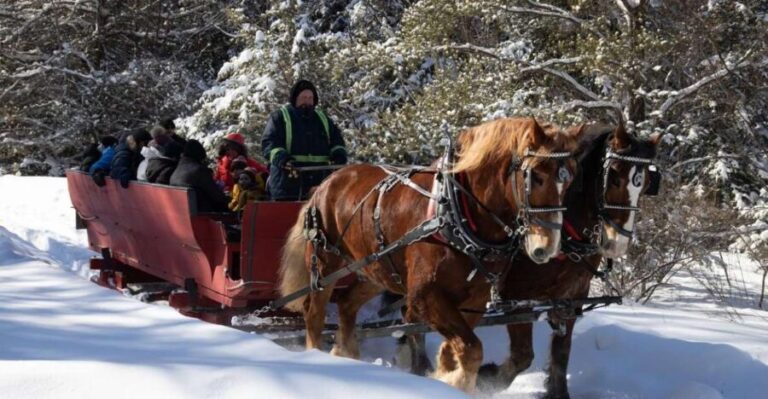 Mont-Tremblant: Sleigh Ride w/ Storytelling & Hot Chocolate - Whats Included and What to Keep in Mind