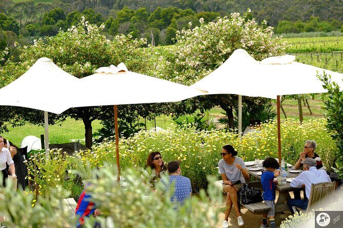 Montalto Vineyard: Mornington Peninsula Discovery Wine Tasting and Lunch - Analyzing the Value