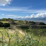 Monte Albán, Hierve el Agua, Mezcal distillery & Teotitlán rugs - Pricing and Value