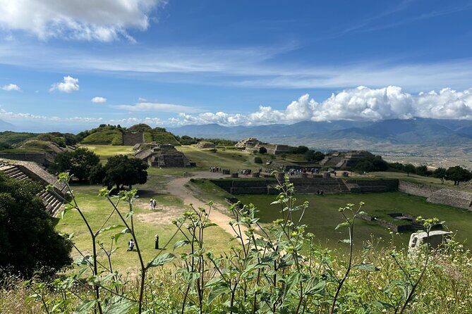 Monte Albán, Hierve el Agua, Mezcal distillery & Teotitlán rugs - Pricing and Value