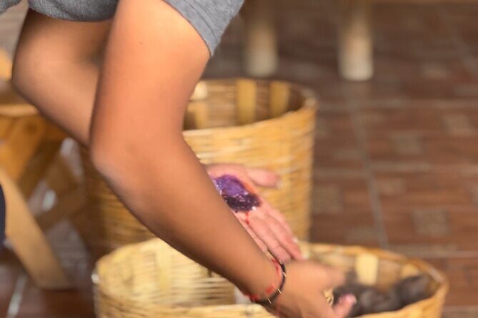 Monte Alban, Mezcal factory, chocolate and artisan houses - Value and Practicality