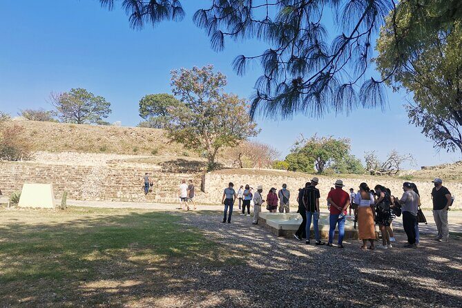 Monte Alban Only - Half Day Guided Tour - Oaxaca - Exploring the Itinerary: What to Expect