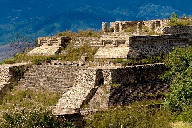 Monte Alban Tree of the Tule Mezcal and Teotitlan del Valle Tour - Practical Aspects and What to Expect