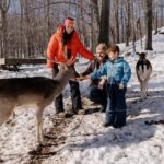Montebello, QC: Morning VIP Tour at Parc Oméga - The Animal Encounters: Nature’s Early Risers