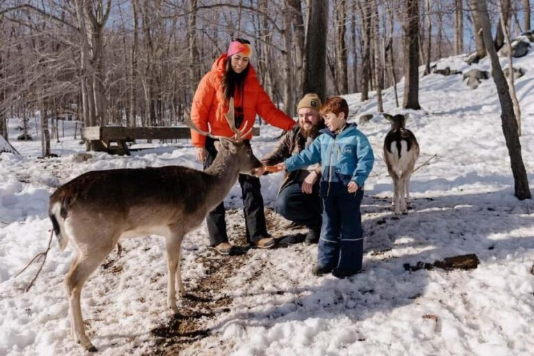 Montebello, QC: Morning VIP Tour at Parc Oméga - The Animal Encounters: Nature’s Early Risers