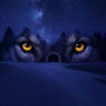 Montebello, QC: Omega Park ONIRO Immersive Experience at Night - The Experience in Detail: What to Expect
