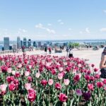 Montreal: 3-Hour Private Car Tour with Expert & Free Pick up - FAQs
