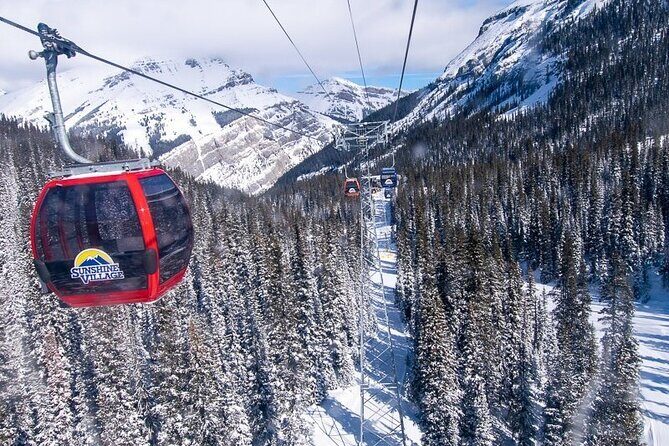 Montreal Epic Ski Adventure in Quebecs Winter Wonderland - What to Expect: A Day on the Slopes