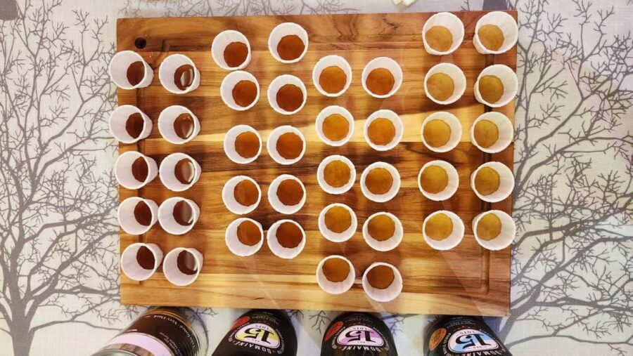 Montreal: Maple syrup tasting and conference - Learning the Art of Maple Harvesting