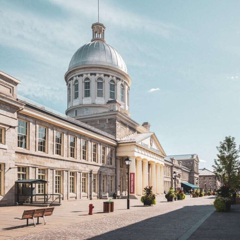 Montreal: Old Montreal Guided Walking Tour - Who Will Love This Tour?
