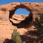 Monument Valley: Mystery Valley Historical Ruins Tour - Why This Tour Is a Great Value