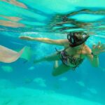 MOOREA 6H PRIVATE BOAT TOURS SNORKELING & LUNCH - An In-Depth Look at the Moorea Private Boat Tour