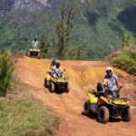 Moorea Explorer Atv Quad Tour - Why This Tour Is a Great Choice