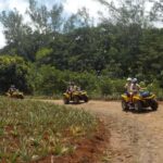 Mo'orea: Guided ATV Nature Tour - Itinerary Breakdown: What You’ll Experience