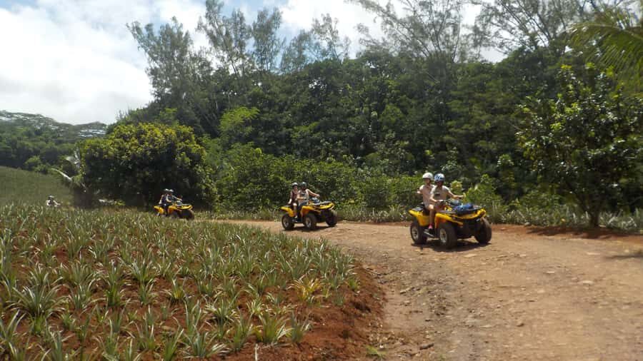Mo'orea: Guided ATV Nature Tour - Itinerary Breakdown: What You’ll Experience